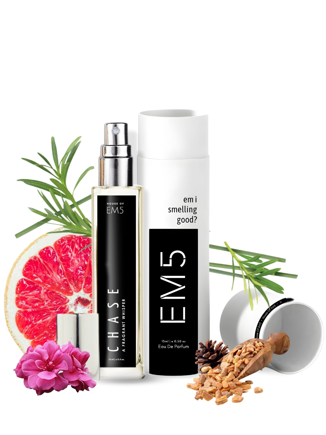 EM5™ Chase Perfume for Men | Eau De Parfum Spray | Citrus Woody Spicy ...