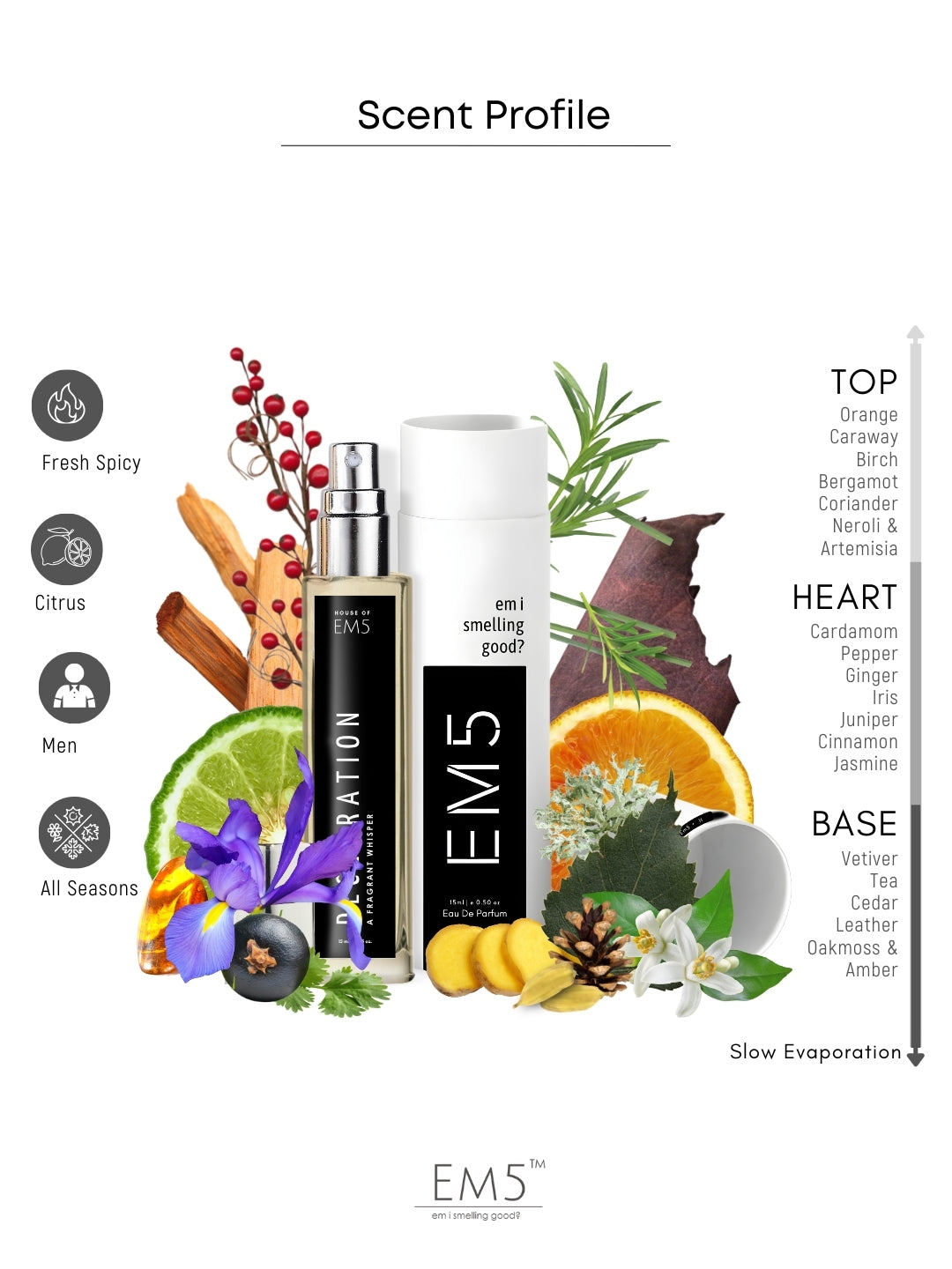EM5™ Declaration Perfume for Men | Eau De Parfum Spray | Fresh Spicy C ...