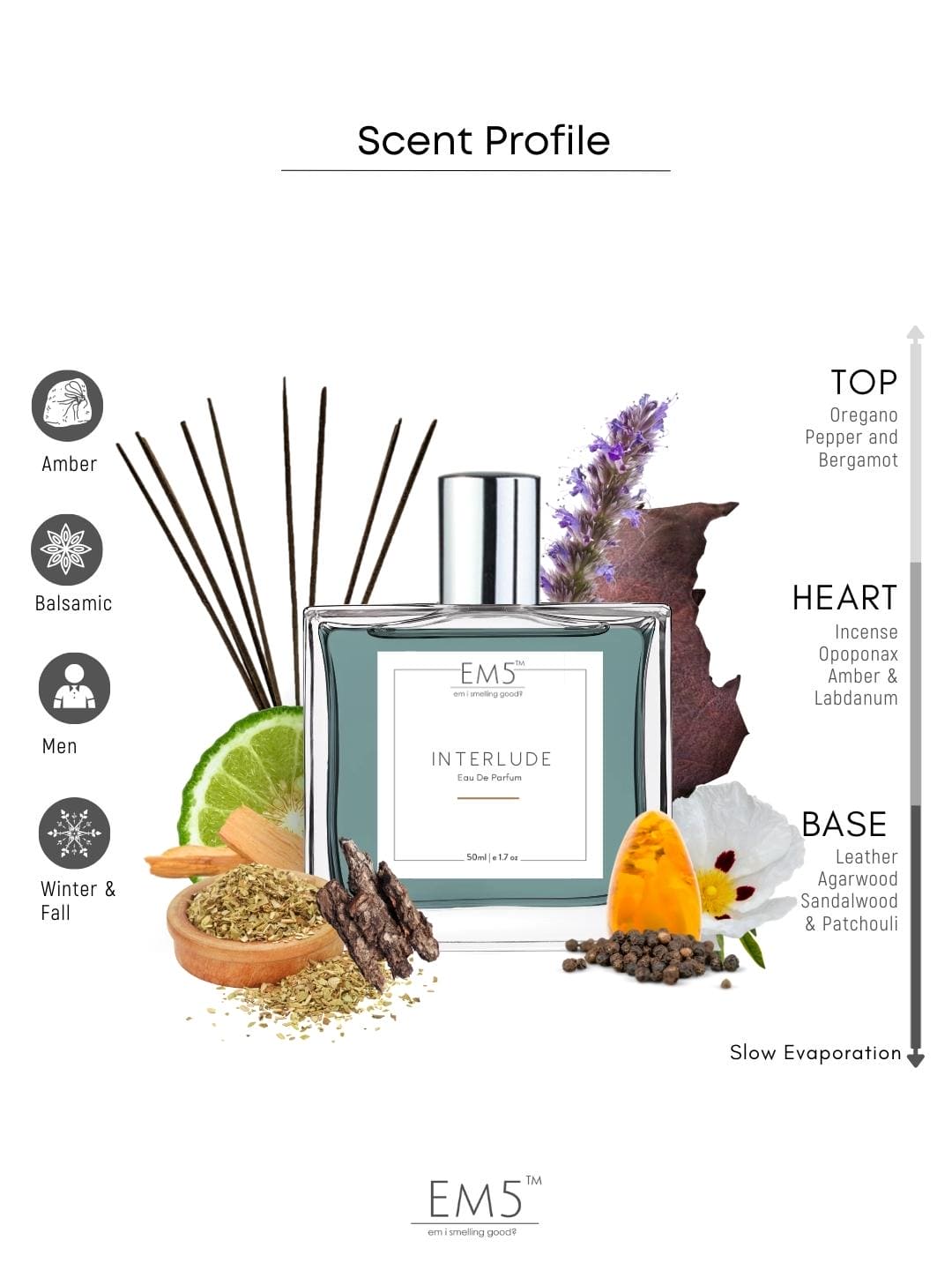 Branded Perfume for Men & Women, India | Long Lasting Strong Fragrance ...