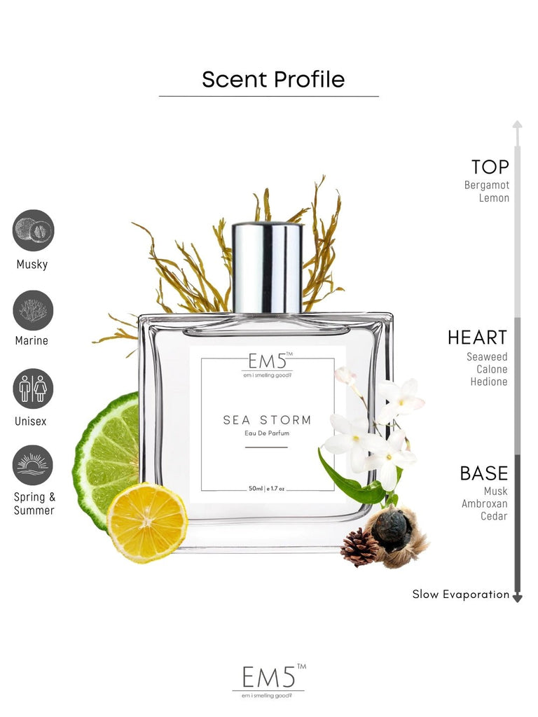 Sea Storm | Eau De Parfum – House of EM5